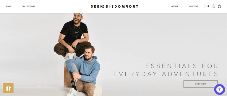 Best Dropshipping Store Examples (20 Most Successful)